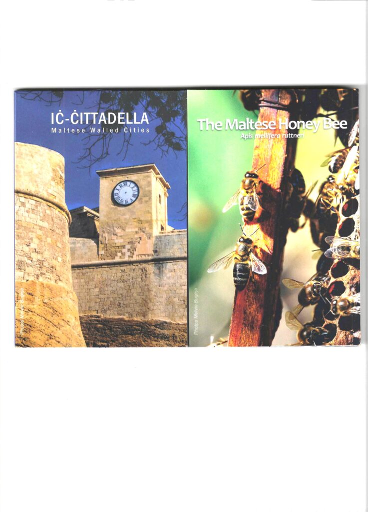 Complete Set 2 Euro Commemorative Coins 2024 41 Coins - Romacoins